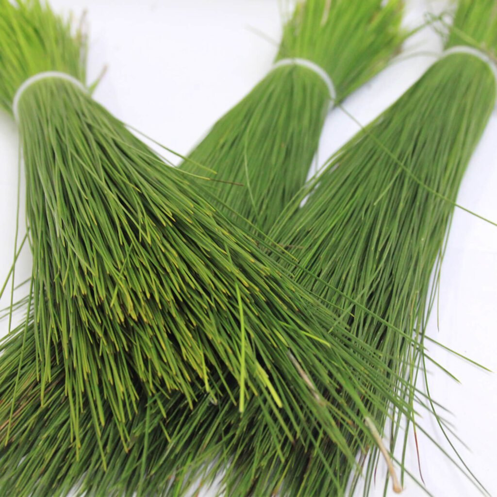 Barg e Sanober برگ سنوبر،صنوبرکے پتے - Super Pansar Store