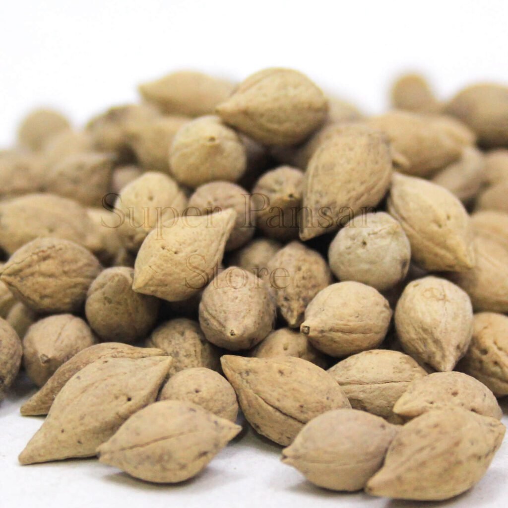 Drypetes Seeds (Putra Jeevak/Jiya Pota) جیا پوتا - Super Pansar Store