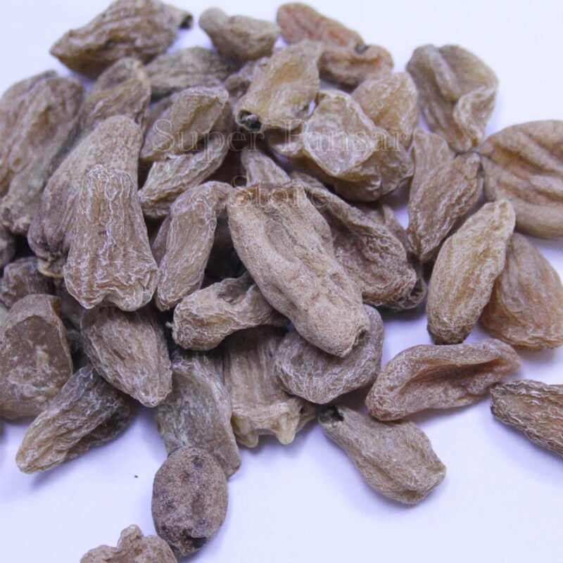 Salep Orchid (Salab Misri) ثعلب مصری – Super Pansar