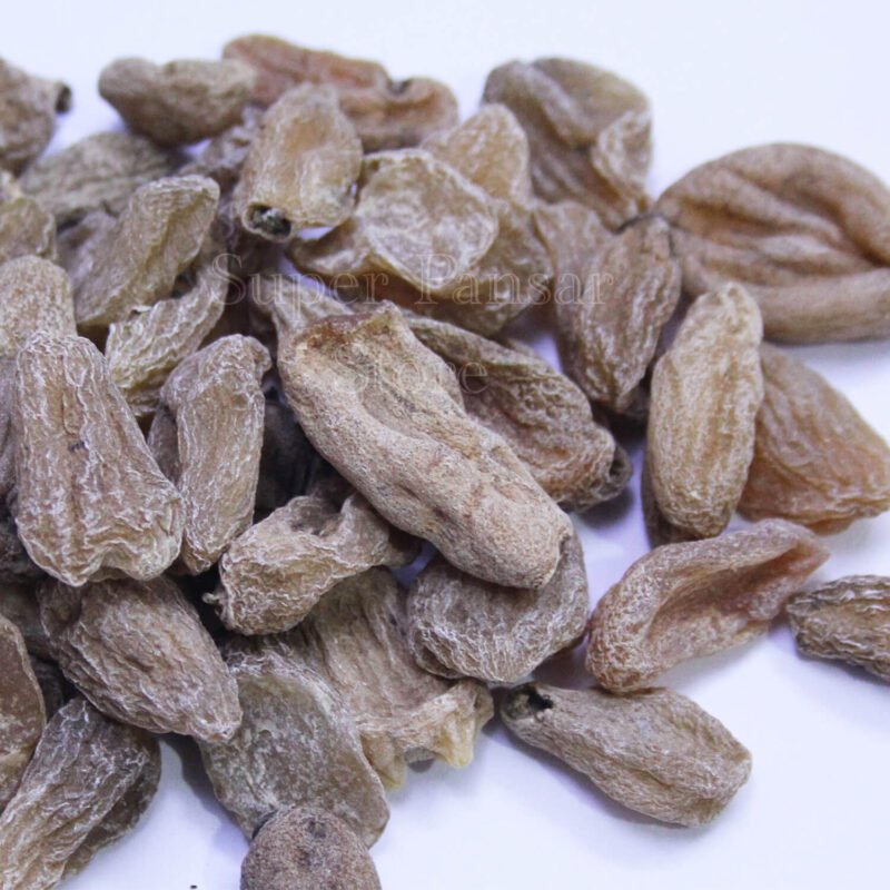 Salep Orchid (Salab Misri) ثعلب مصری – Super Pansar