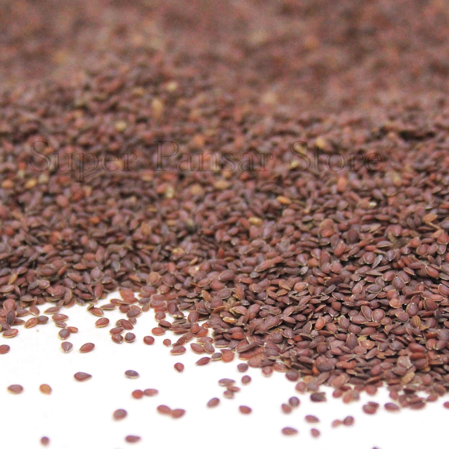 Wall Flower Seeds (Todri Surkh) تودری سرخ – Super Pansar