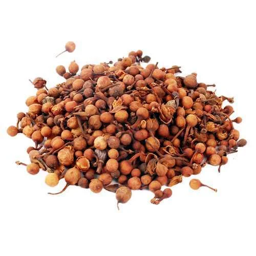 Mesua Ferrea (Nagkesar/Ochrocarpus Longifolius) ناگ کیسر – Super Pansar ...