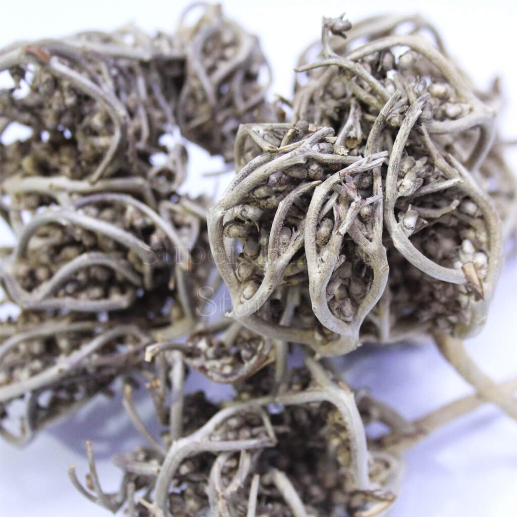 Maryam Panja (Anastatica hierochuntica) مریم بوٹی - Super Pansar Store